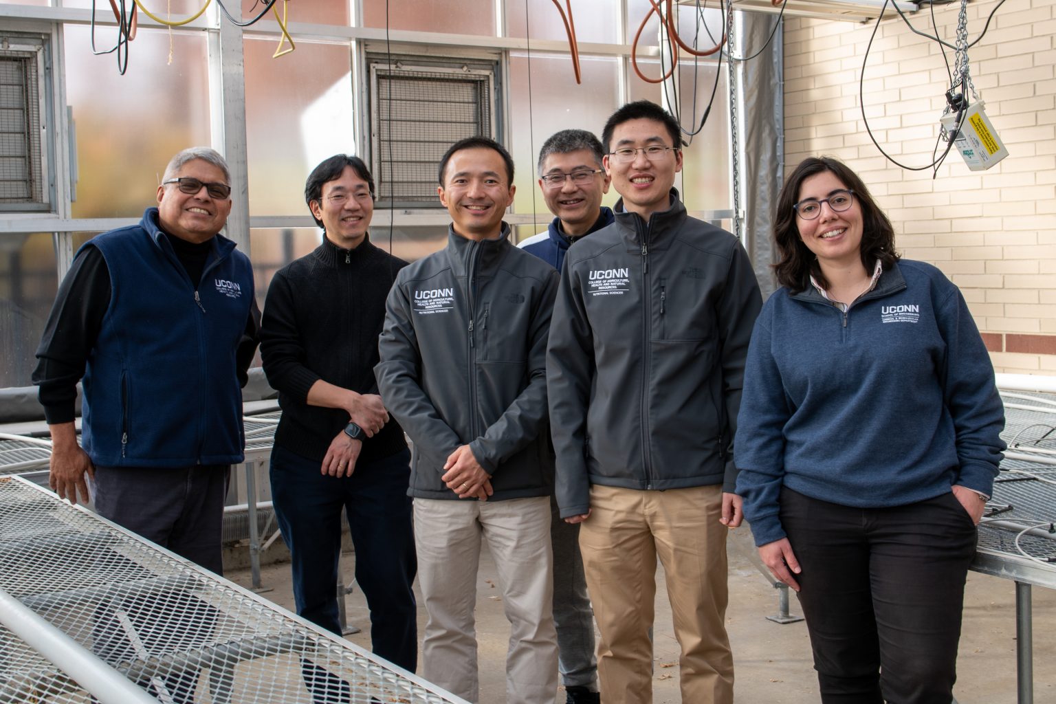 Microalgae for Poultry Nutrition: UConn Researchers Receive NSF Future ...